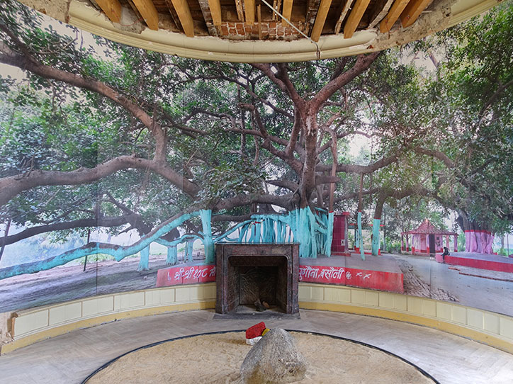 The Sacred Trees of India | Domaine de Boisbuchet